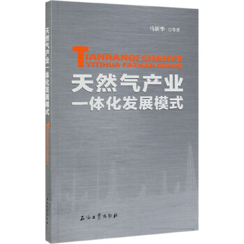 天然气产业一体化发展模式