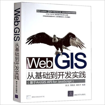 Web GIS从基础到开发实践 基于ArcGIS API for JavaScript web gi
