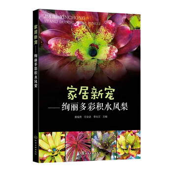 家居新宠--绚丽多彩积水凤梨