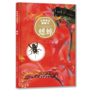 动物美绘翻翻书:蟋蟀
