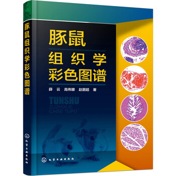 豚鼠组织学彩色图谱