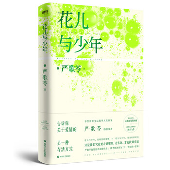 花儿与少年 小说 书籍