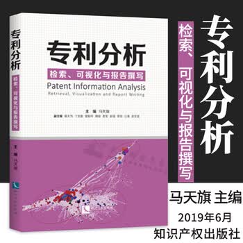 专利分析：检索、可视化与报告撰写