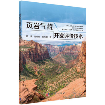 页岩气藏开发评价技术