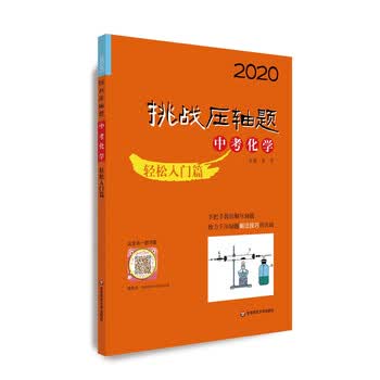2020挑战压轴题·中考化学—轻松入门篇