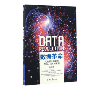 数据革命(大数据价值实现方法技术与案例)