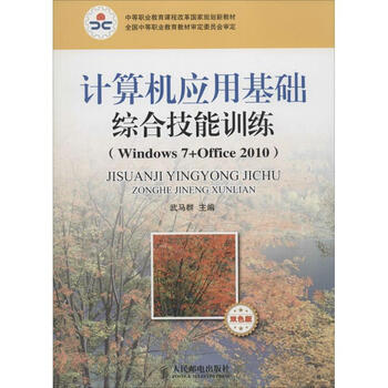计算机应用基础综合技能训练(双色版)
