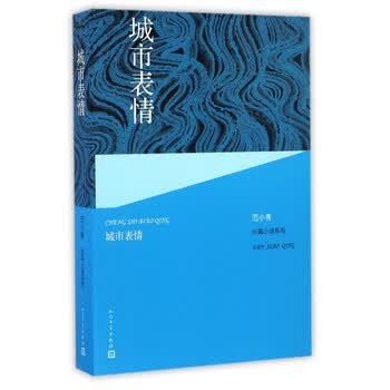 城市表情/范小青长篇小说系列