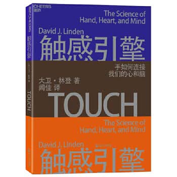 触感引擎：手如何连接我们的心和脑