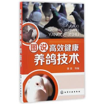 图说高效健康养鸽技术