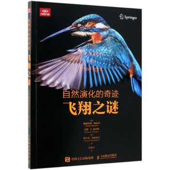 自然演化的奇迹:飞翔之谜