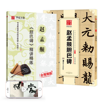 华夏万卷字帖 赵孟頫胆巴碑毛笔书法精讲精楷书练字帖成人初学者原碑帖法帖等级考试教程附视频(2本套)