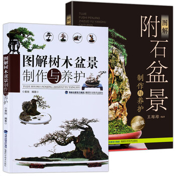 图解树木盆景制作与养护+图解附石盆景制作与养护【2册】盆景书籍图书大全 入门 盆景造型书 盆景栽培技