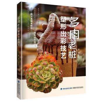 多肉老桩塑形出彩技艺
