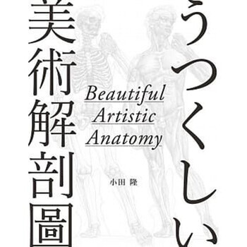 现货台版 美术解剖图 素描绘画技法书籍