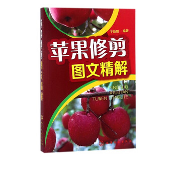 苹果修剪图文精解