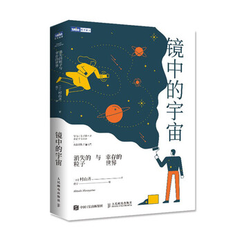 镜中的宇宙 消失的粒子与幸存的世界(图灵出品)