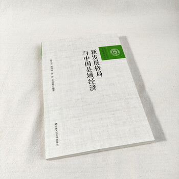 新发展格局与中国县域经济 百家廊文丛 孙久文 唐泽地 孙铮 李恒森 中国人民大学出版社 9787300299631