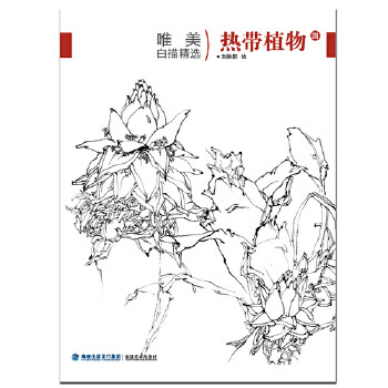 热带植物(4)-唯美白描精选