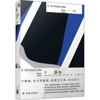 宁静海 图书