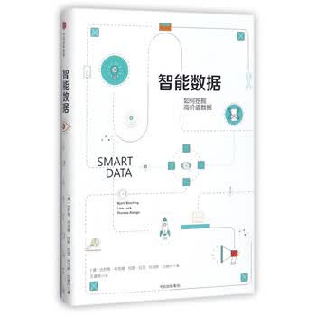 智能数据(如何挖掘高价值数据)(精)