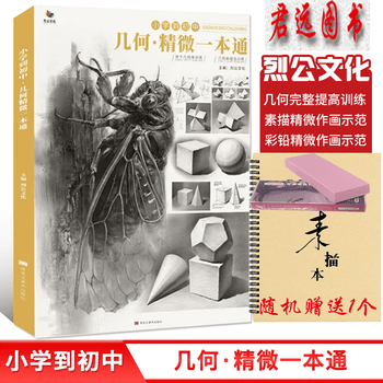 小学到初中几何精微一本通2021烈公文化素描基础静物动物*期作业
