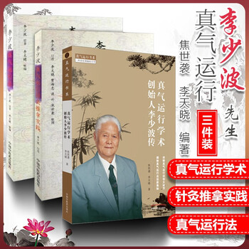 正版 共3册真气运行学术创始人李少波传+李少波真气运行法+李少波真气运行针灸推拿实践 中国中医药出