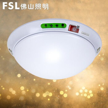 FSL消防应急灯照明吸顶灯新国标人体红外感应微波感应声光控应急灯 应急吸顶灯 15W【图片 价格 品牌 报价】-京东