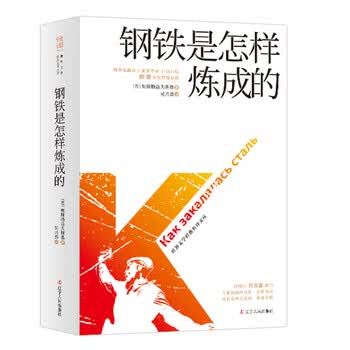 钢铁是怎样炼成的（2020指导目录初中+新课标 7 年级+部编 8 年级）