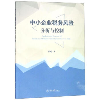 中小企业税务风险分析与控制
