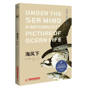 海风下（博物图鉴版）