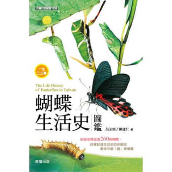 预售 吕至坚蝴蝶生活史图鉴晨星