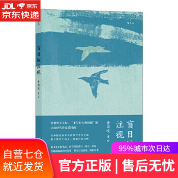 【正版图书】盲目地注视 黄国峻后浪 中国友谊出版公司