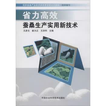 省力蚕桑生产实用新技术