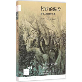 树荫的温柔