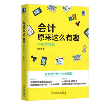会计原来这么有趣：中级实务篇
