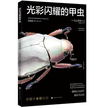 光彩闪耀的甲虫