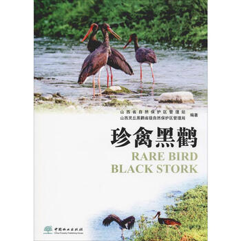 珍禽黑鹳
