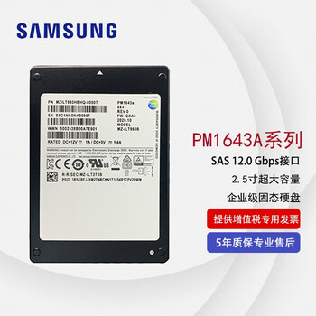 三星 PM1643A SAS服务器SSD企业级固态硬盘 1643A丨SAS接口 15.36TB【图片 价格 品牌 报价】-京东