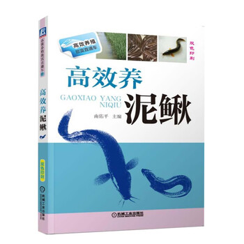 高效养泥鳅 双色印刷 养泥鳅技术从入门到精通 养泥鳅教程教材全集 养泥鳅书籍 水产养殖户 基层技术人员 泥鳅养殖的实践经验