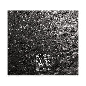 【】桥本清志摄影作品集 鯉の領域 日本写真企画 日文原版进口 善本图书