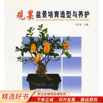 观果盆景培育造型与养护 马文其