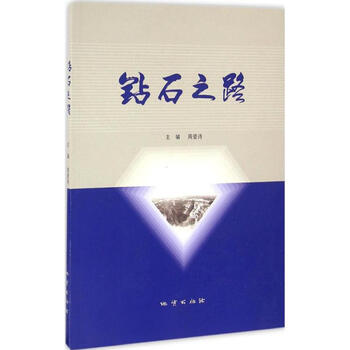 钻石之路 周登诗 中国地质大学出版社【正版图书】