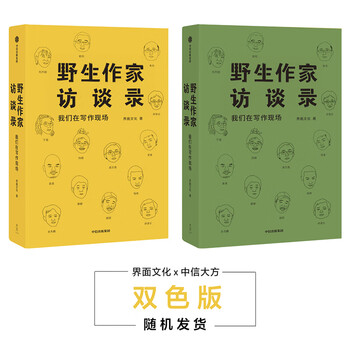 野生作家访谈录 我们在写作现场 中信出版社