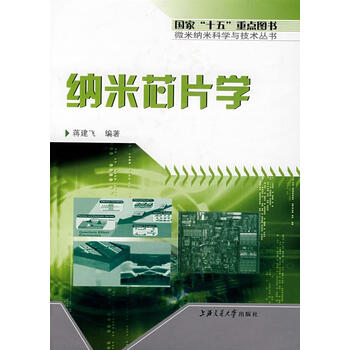 纳米芯片学