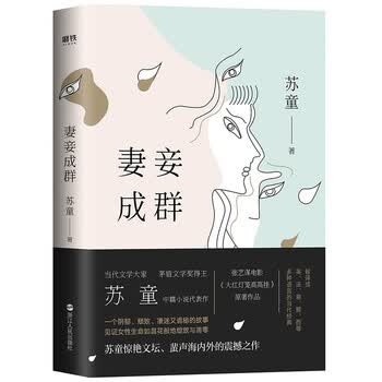 妻妾成群：张艺谋电影《大红灯笼高高挂》原著作品.