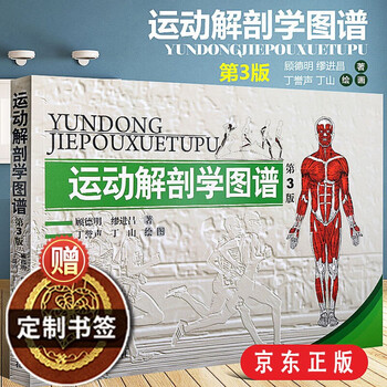 运动解剖学图谱第3版 运动解刨学图谱人体解剖学教程 肌肉塑造 运动瑜伽肌肉解剖 体育理论与教学参考书籍 顾德明 运动医学书籍 人体全面解剖图谱体育医学专业理论书籍