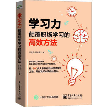 学习力:颠覆职场学习的高效方法王世民电子工业出版社
