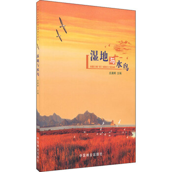 湿地与水鸟 图书