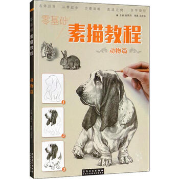 零基础 素描教程 动物篇